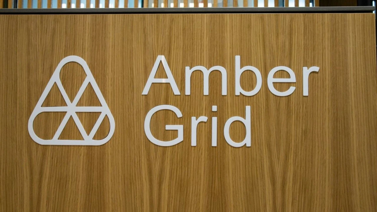 Į „Amber Grid“ valdybą siūlomas P. Butkus - Verslo žinios